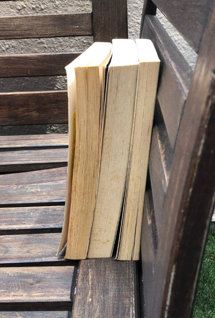 Children's Megan Rix Books Set of Three, Hobbies & Toys, Books ...