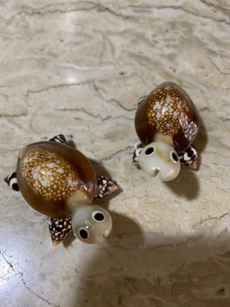 Cowrie Shell Turtles Set of 2 on Carousell