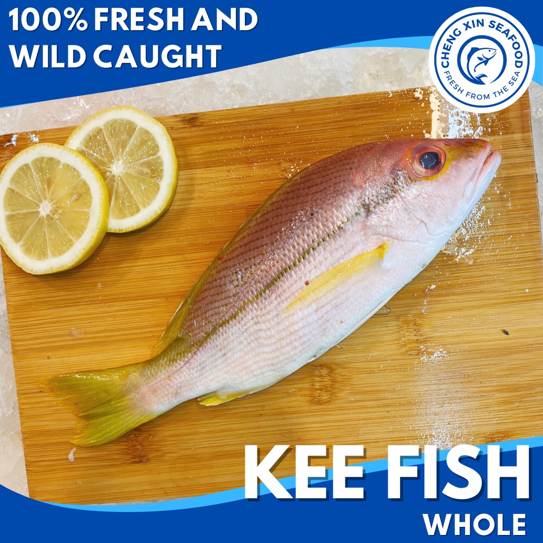 Fresh Kee Fish 500g, Food & Drinks, Chilled & Frozen Food on Carousell