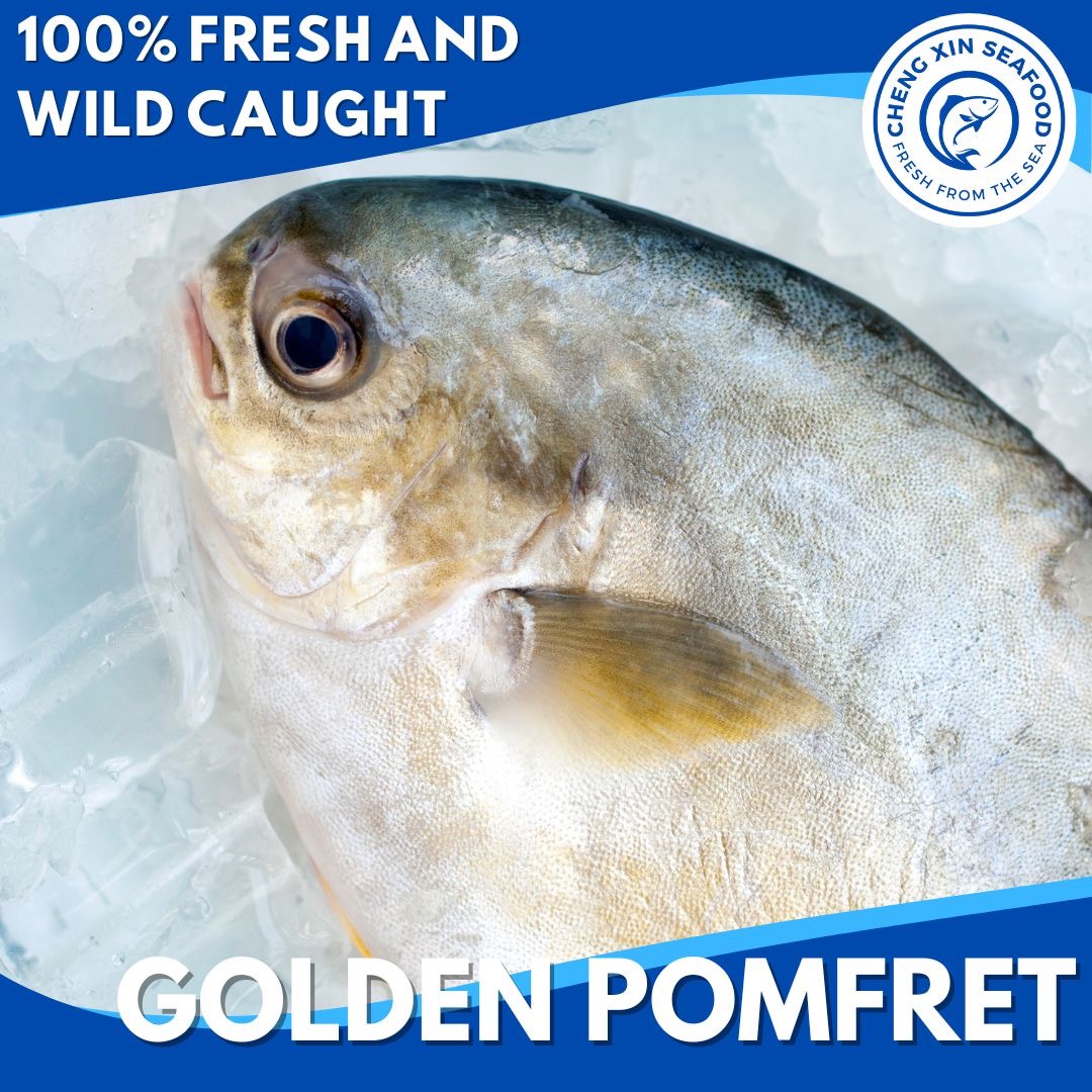 Golden Pomfret 500g, Food & Drinks, Chilled & Frozen Food on Carousell