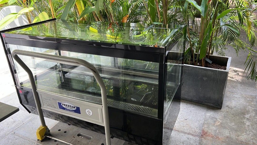 Iceberg display chiller, TV & Home Appliances, Kitchen Appliances ...