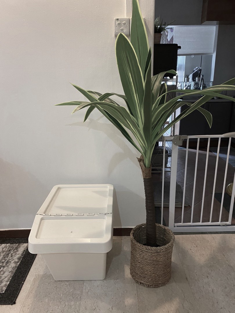 Ikea Sortera Box with Lid 37l (2 nos), Furniture & Home Living, Home ...