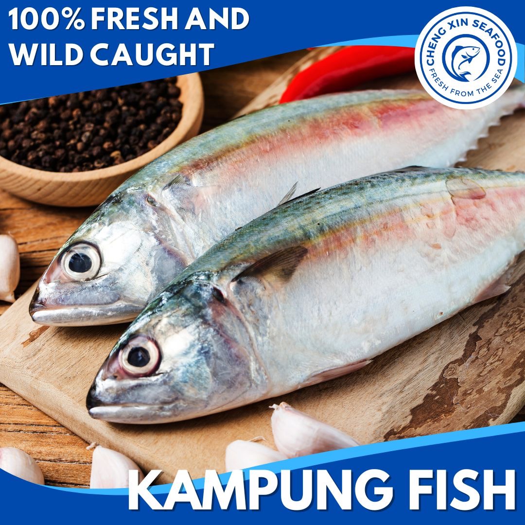 Kembong Fish 500g, Food & Drinks, Chilled & Frozen Food on Carousell