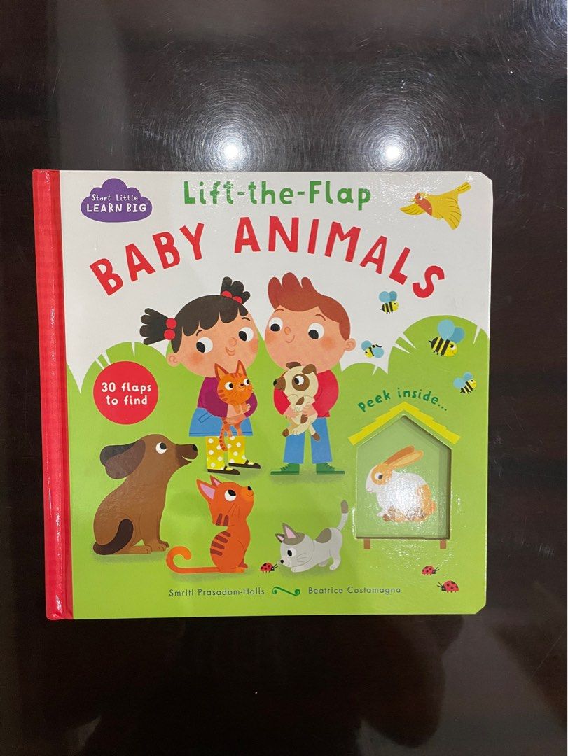 Lift the flap - baby animals, Buku & Alat Tulis, Buku Anak-Anak di ...