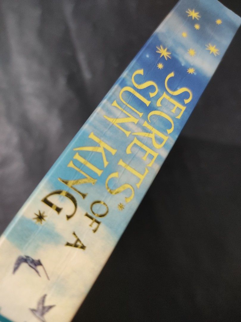 Secrets of a Sun King by Emma Carroll, Hobbies & Toys, Books ...