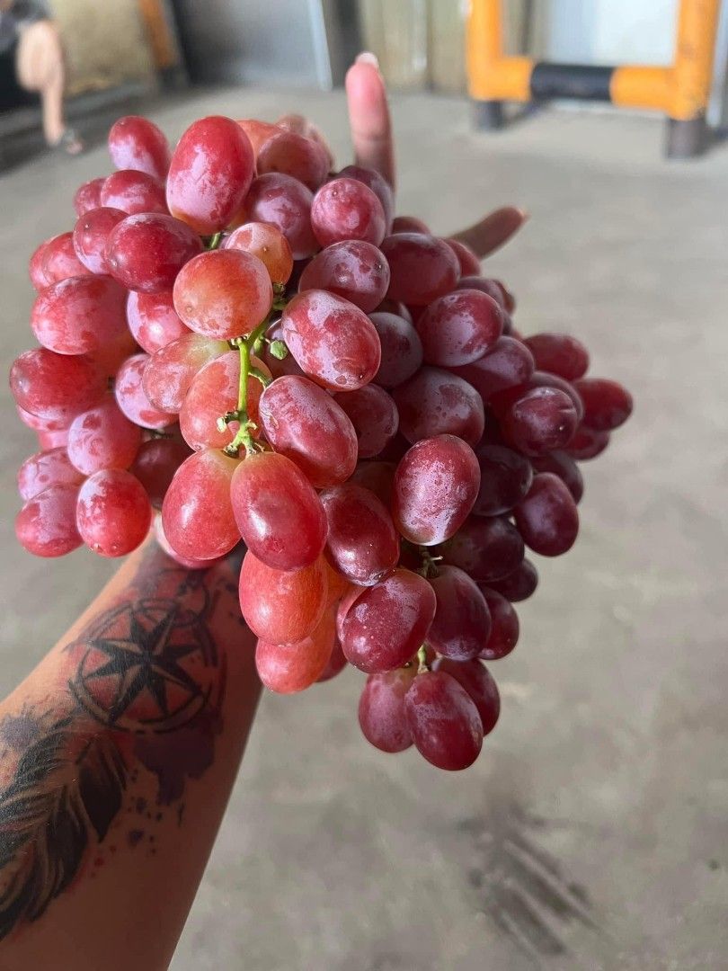 Seedless grapes per crates, Food & Drinks, Fresh Produce on Carousell
