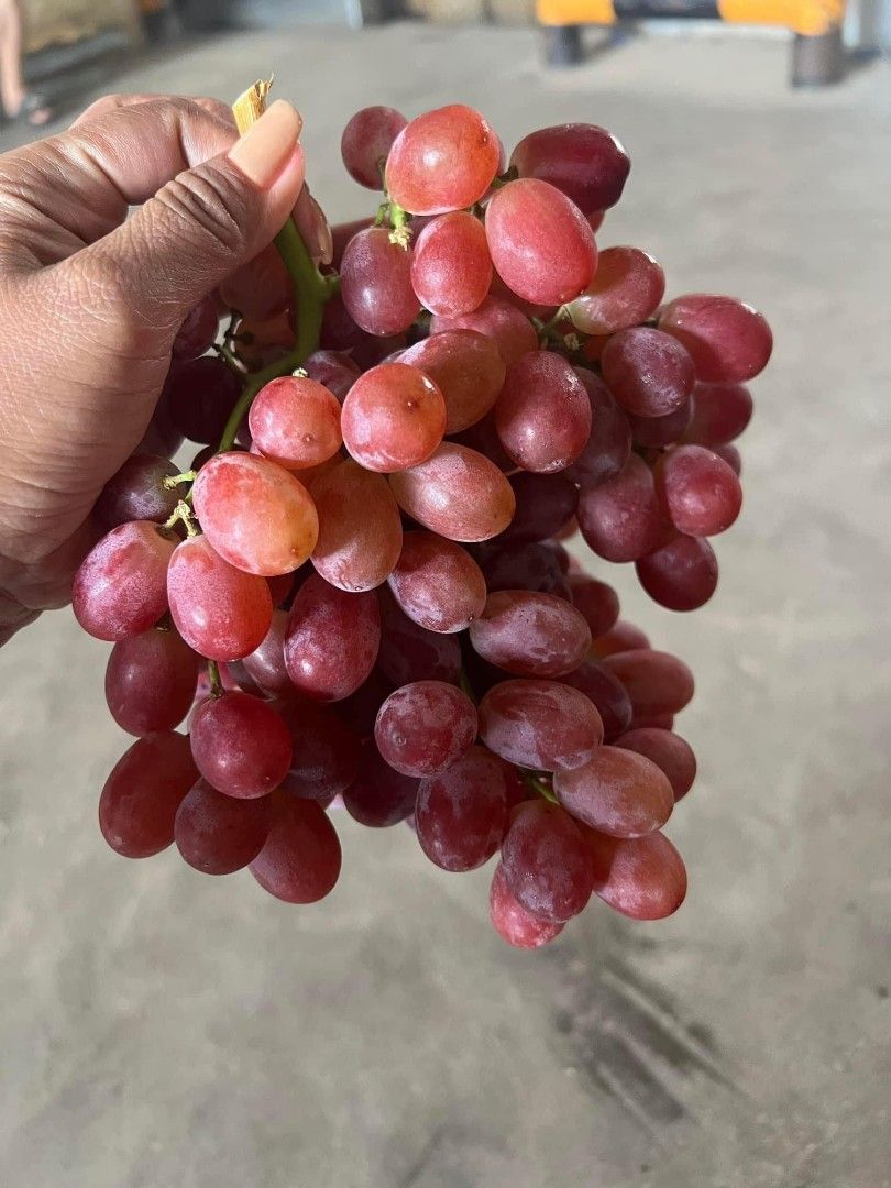 Seedless grapes per crates, Food & Drinks, Fresh Produce on Carousell