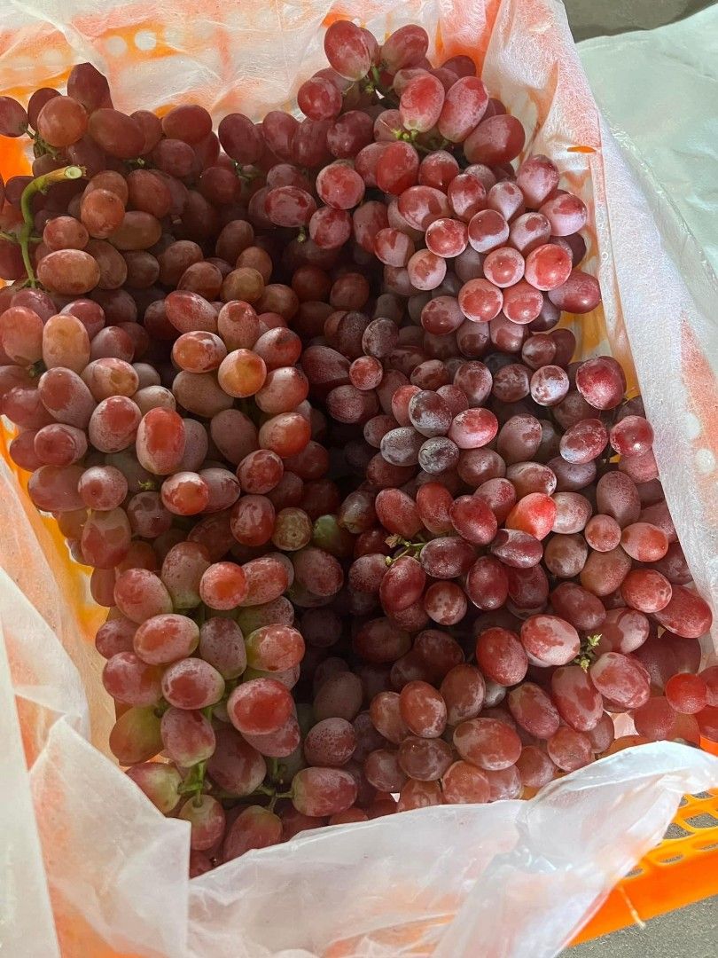 Seedless grapes per crates, Food & Drinks, Fresh Produce on Carousell