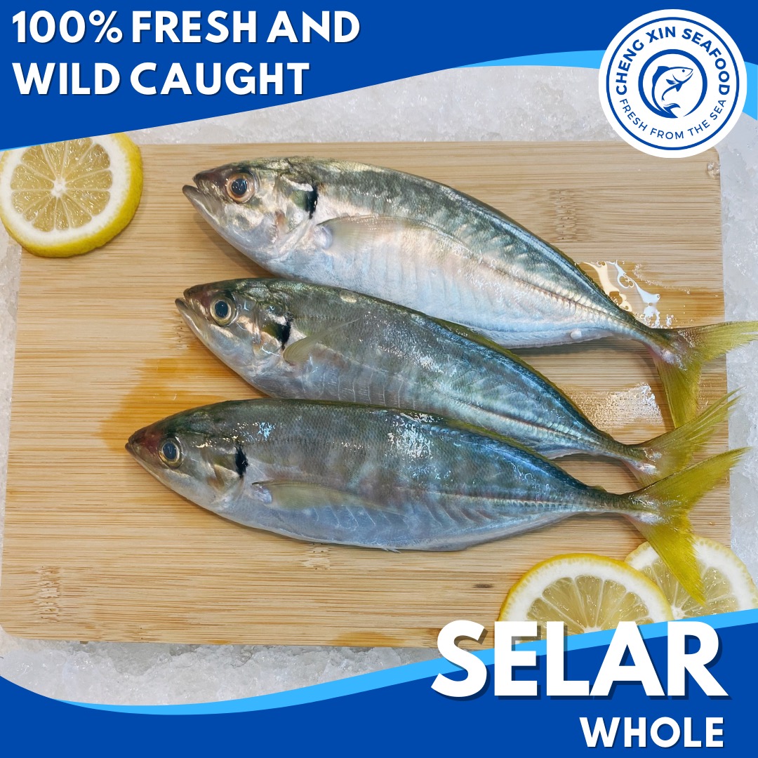 Selar Fish 1KG, Food & Drinks, Chilled & Frozen Food on Carousell
