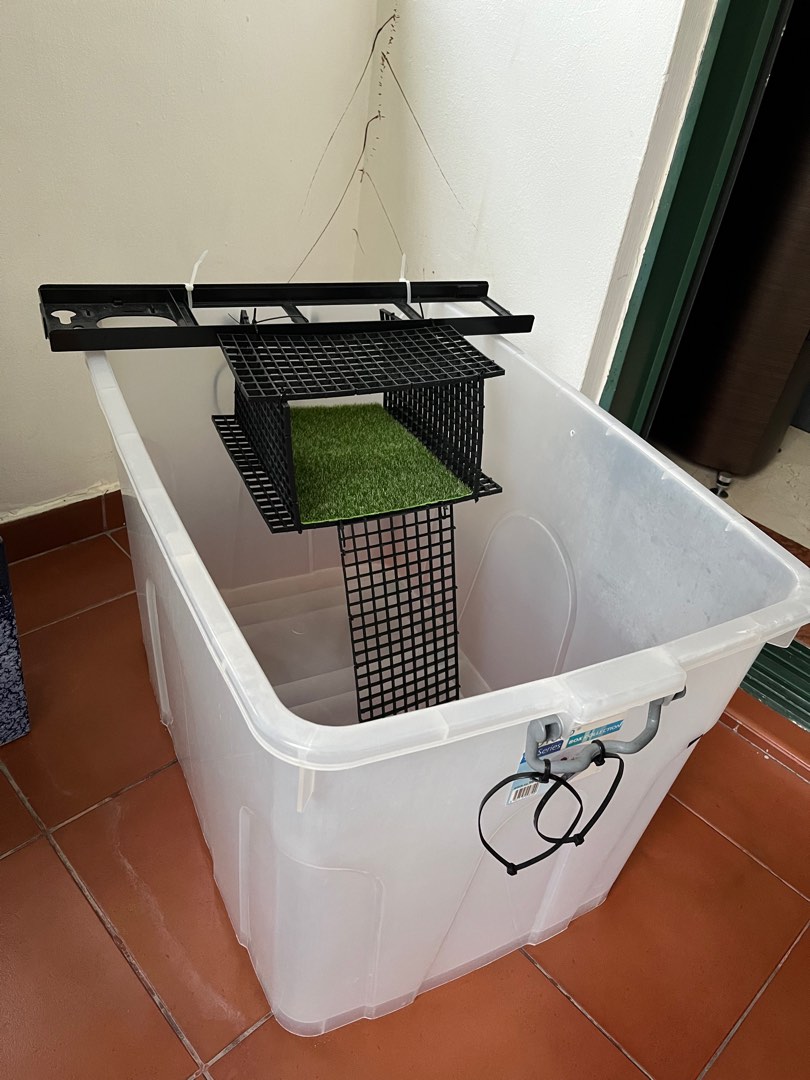 Terrapin/Turtle Tank with basking platform, Pet Supplies, Homes & Other ...