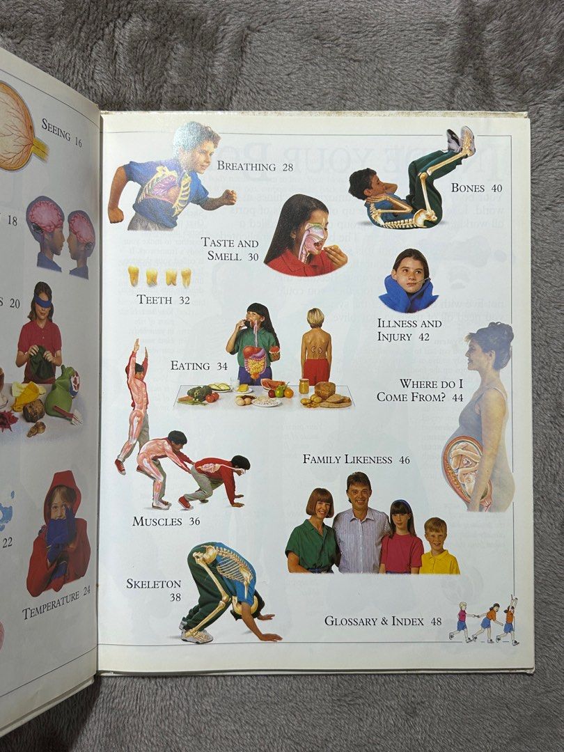 The Dorling Kindersley Picturepedia Series (body, plants, arts ...