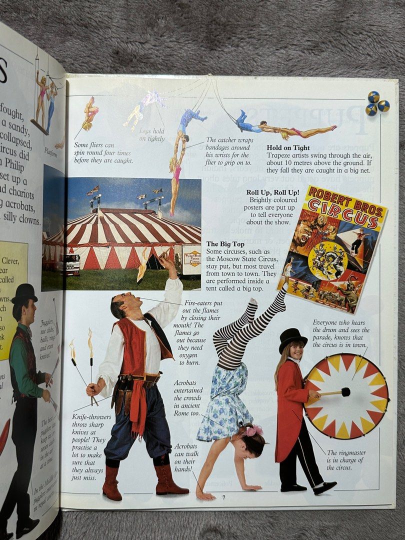 The Dorling Kindersley Picturepedia Series (body, plants, arts ...