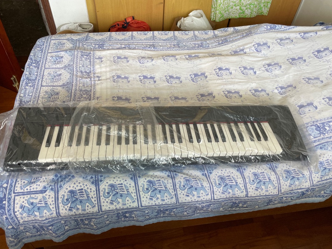 Yamaha Piaggero Keyboard NP12, Audio, Portable Music Players on Carousell
