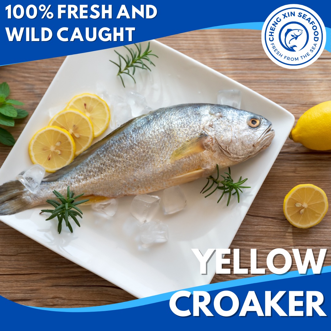 Yellow Croaker 400g, Food & Drinks, Chilled & Frozen Food on Carousell