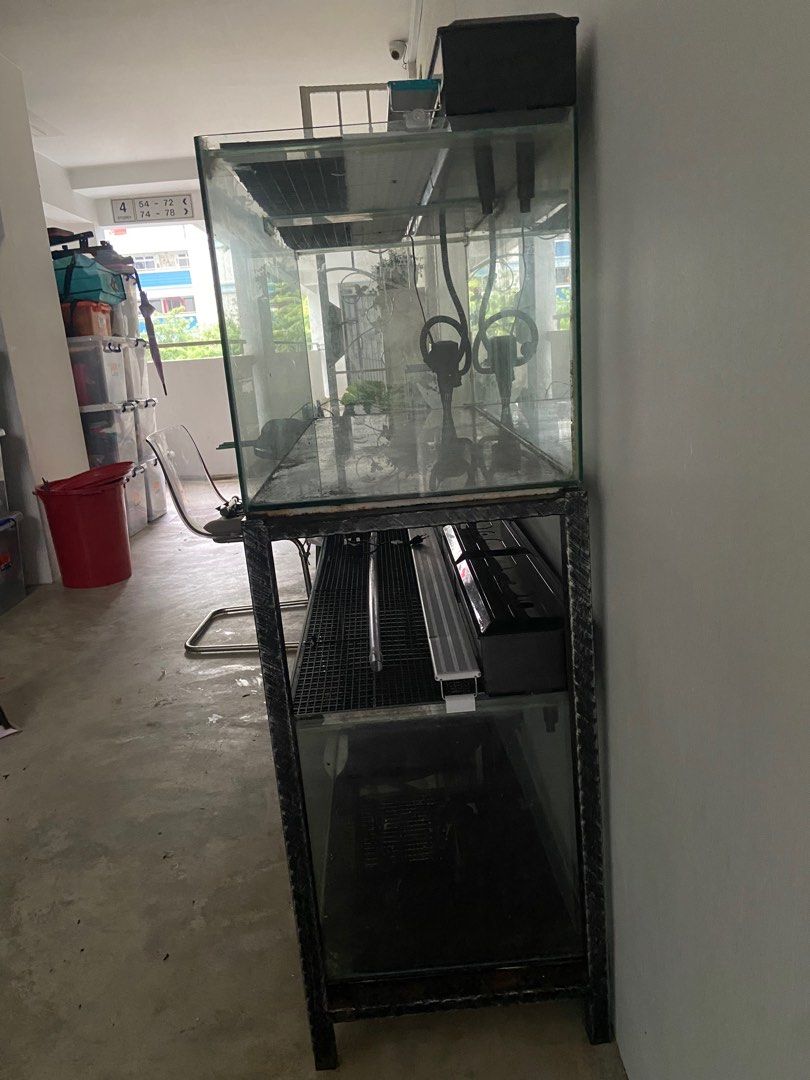 4 feet fish tank with stand, Pet Supplies, Homes & Other Pet ...