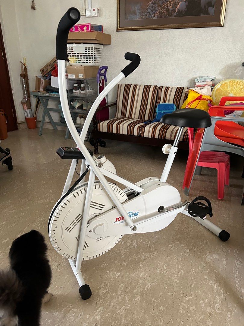 AIBI Gym 2 way bike ( unused ), Sports Equipment, Exercise & Fitness ...