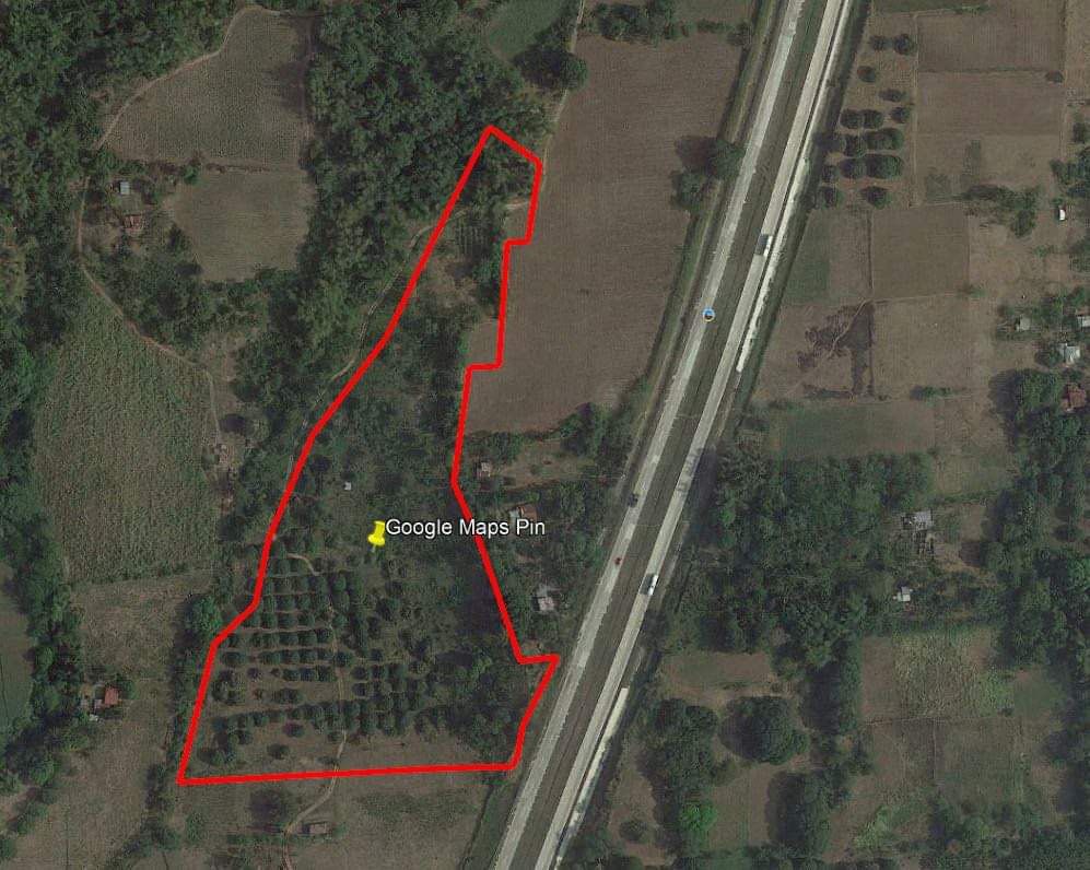 Batangas Farm Lot 3.9 Hectares, Property, For Sale, Lot on Carousell