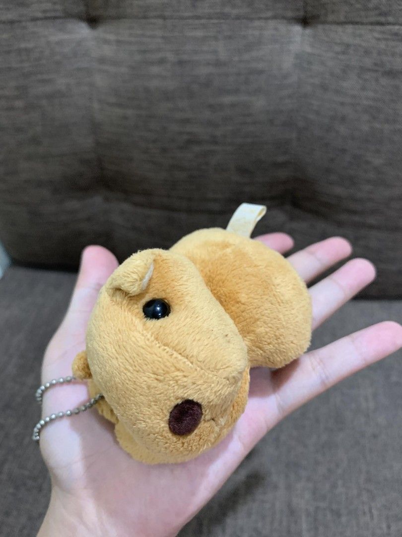 Capybara charm, Hobbies & Toys, Toys & Games on Carousell