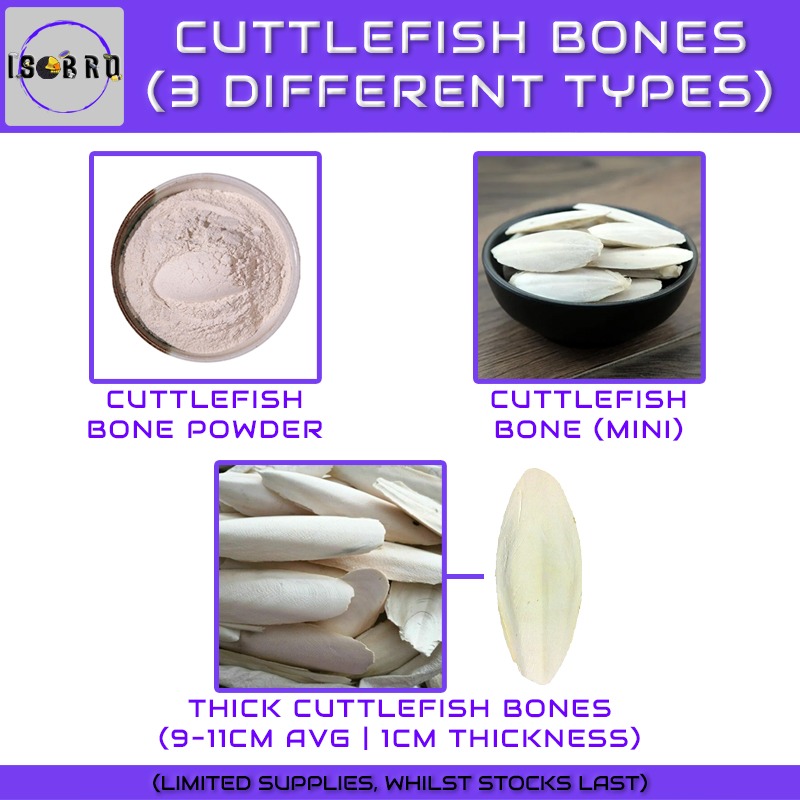 cuttlefish bone powder