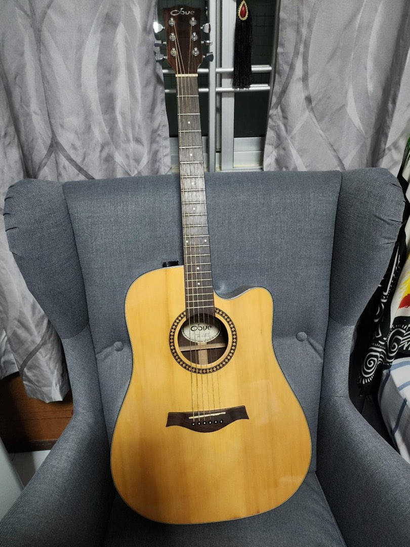 Dove acoustic electric, Hobbies & Toys, Music & Media, Musical Instruments on Carousell