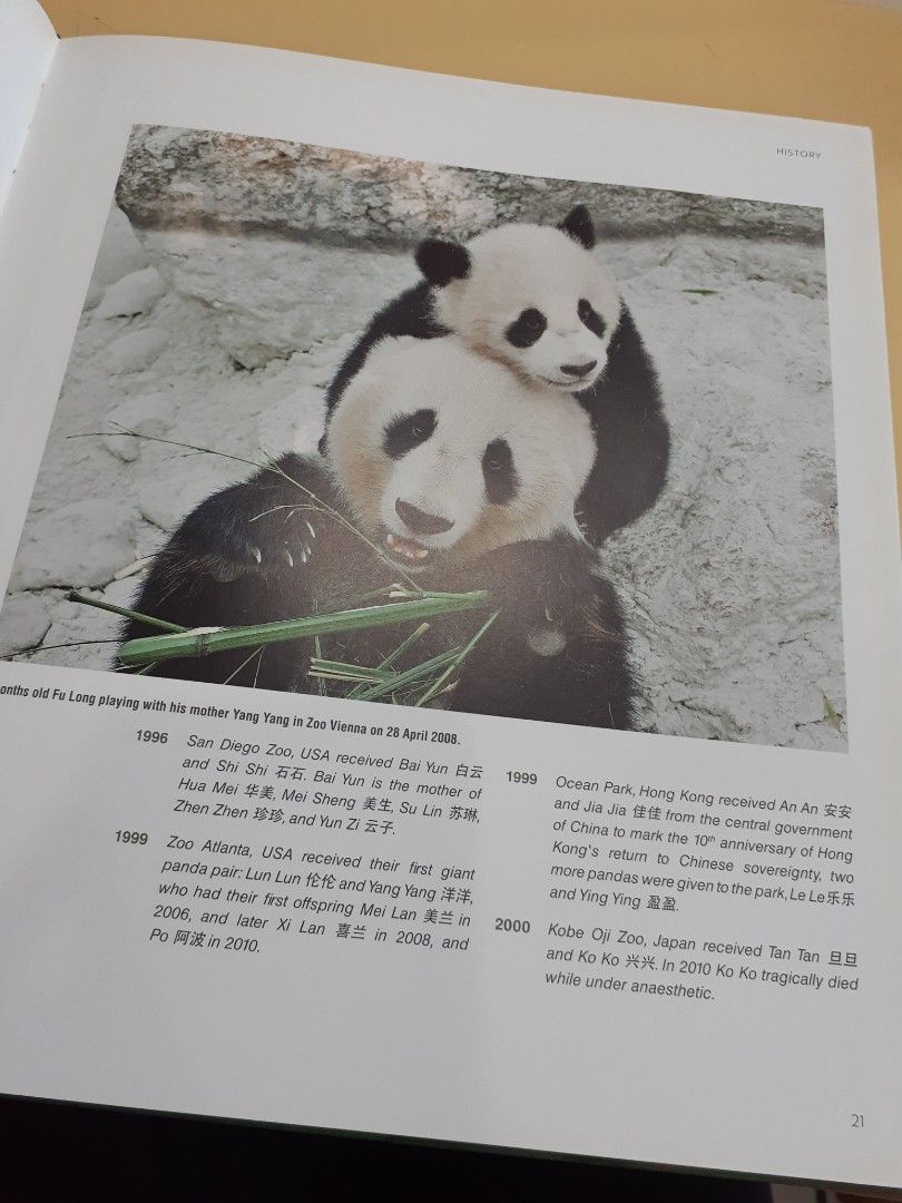 (ENG) A Visual Celebration Of Giant Pandas, Hobbies & Toys, Books ...