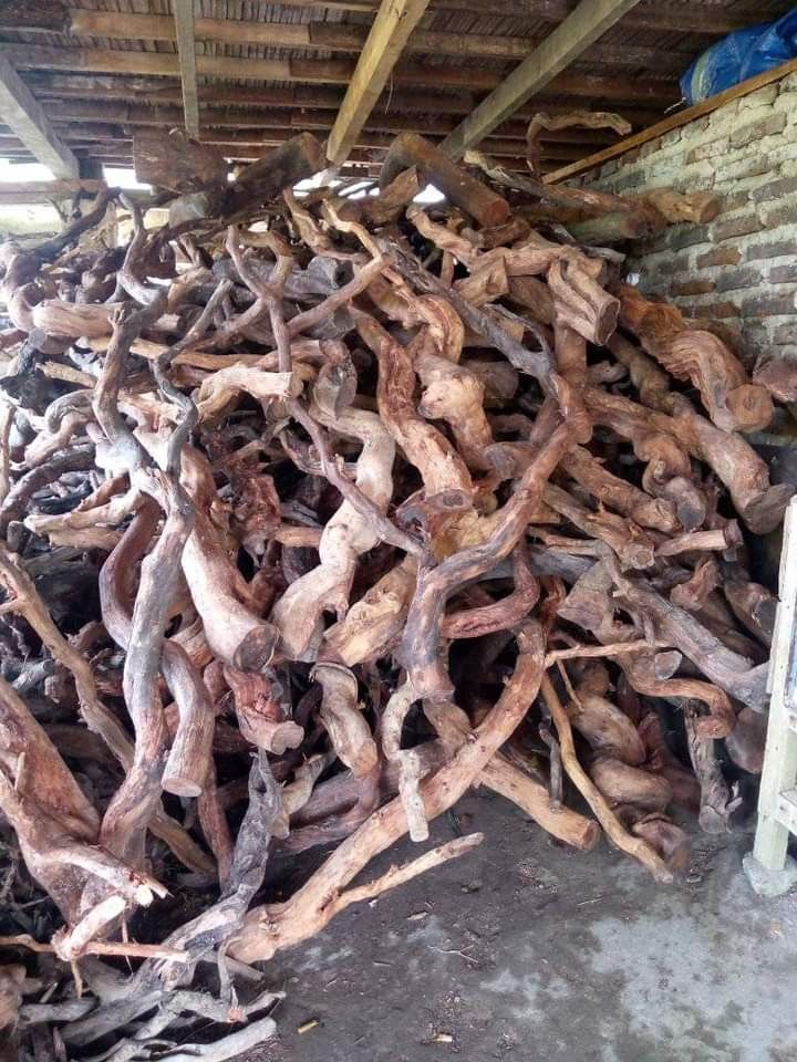 JUAL KAYU SANTIGI KAYU DEKORASI RUANG DAN OUTDOOR KAYU SANTIGI LAUT ...