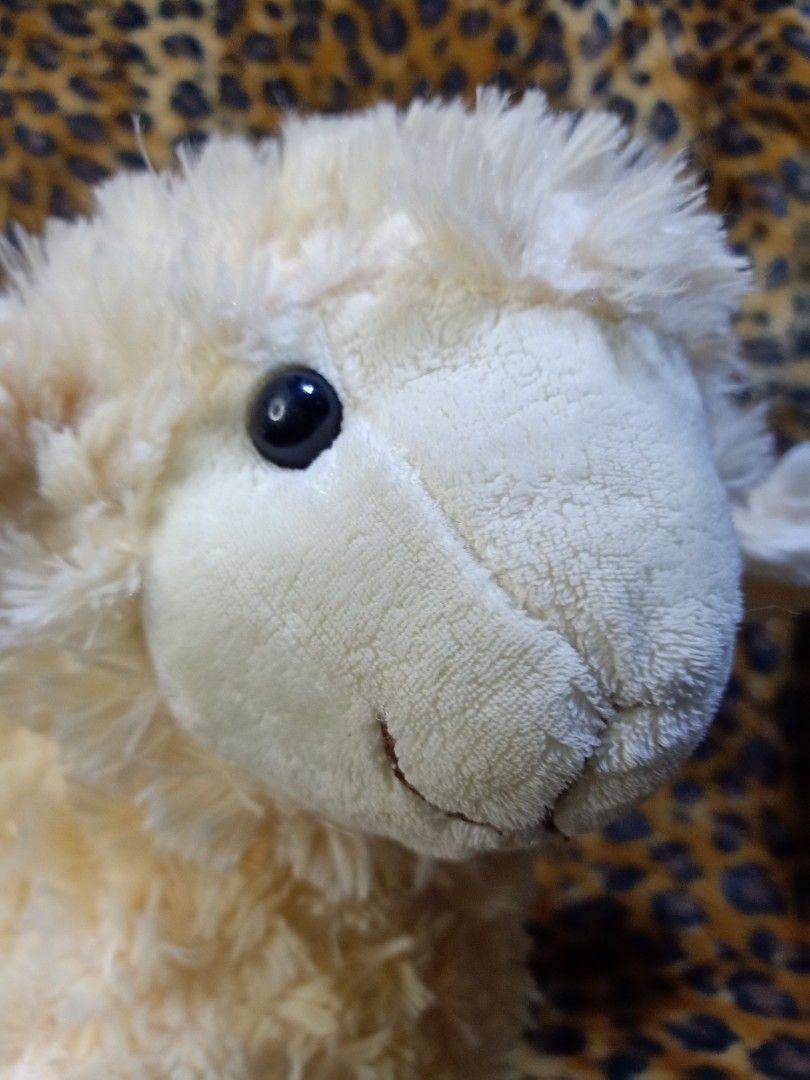 KEEL TOYS FLUFFY CREAM SHEEP / BROWN COMFORT PLUSH on Carousell