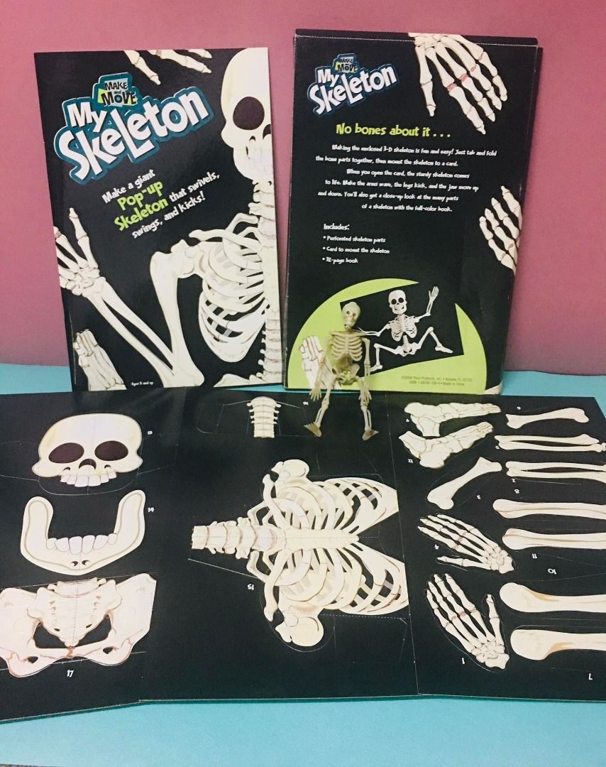 Make and Move My Skeleton Giant Pop-up Bundle, Hobbies & Toys, Toys ...