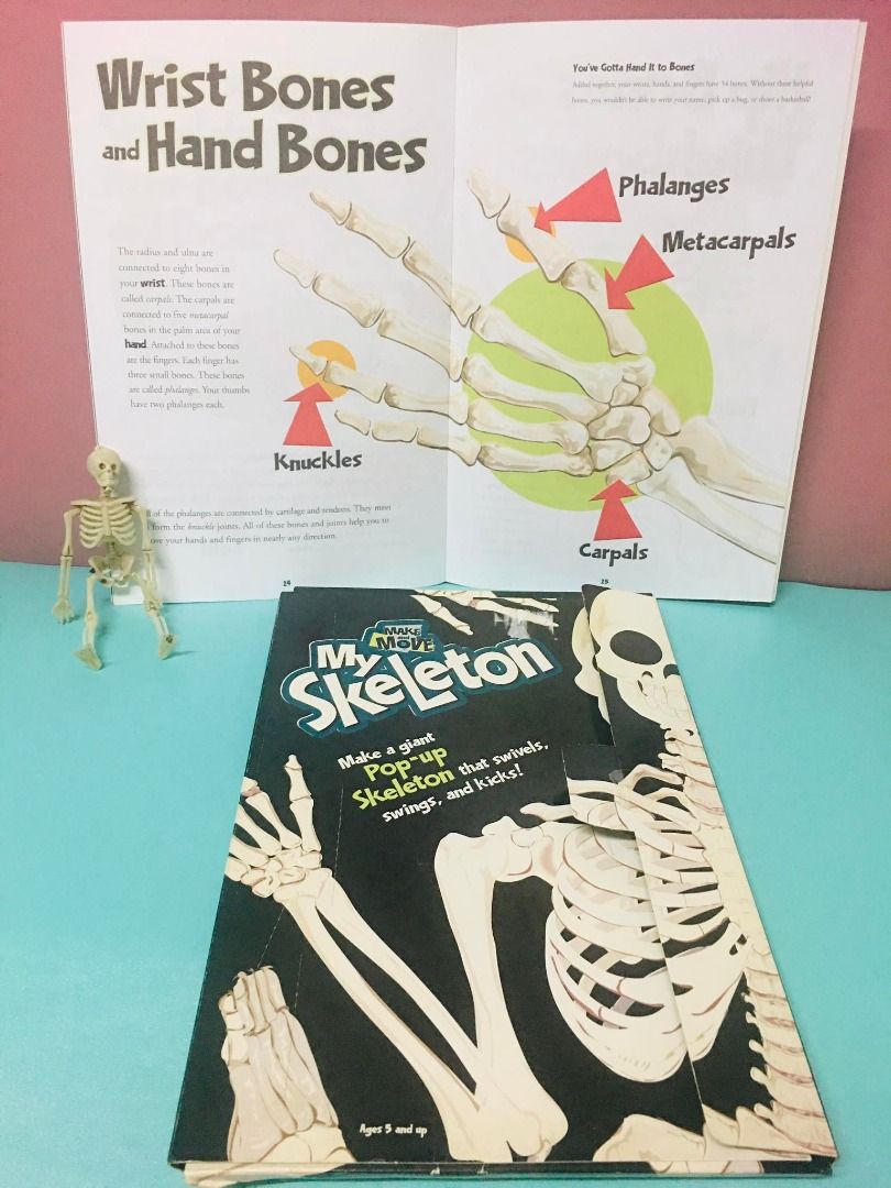 Make and Move My Skeleton Giant Pop-up Bundle, Hobbies & Toys, Toys ...