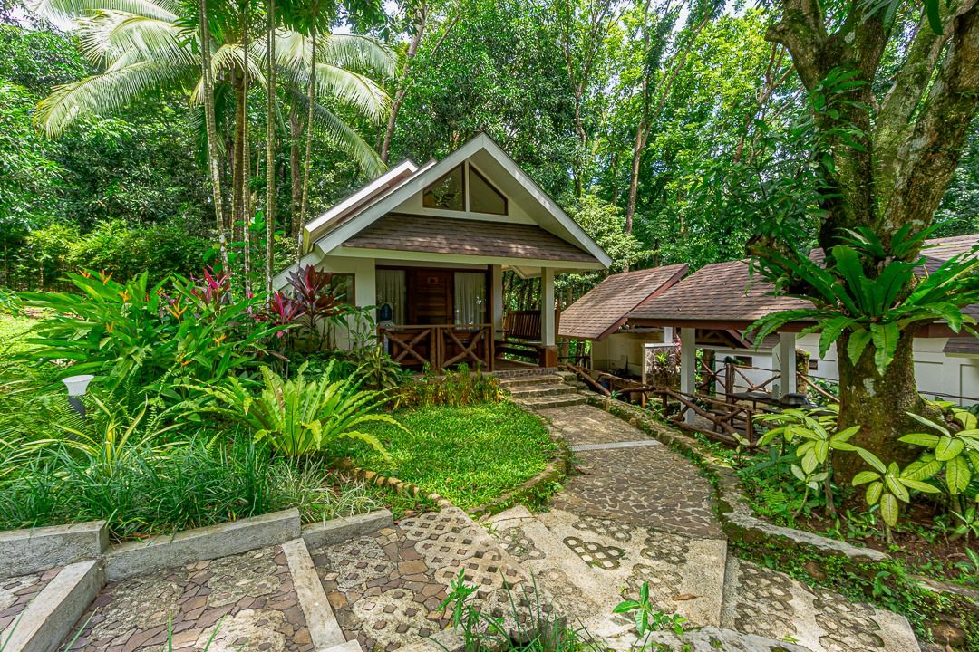 12.7 Hectares Mountain Farm Resort at Baras, Rizal!, Property, For Sale ...