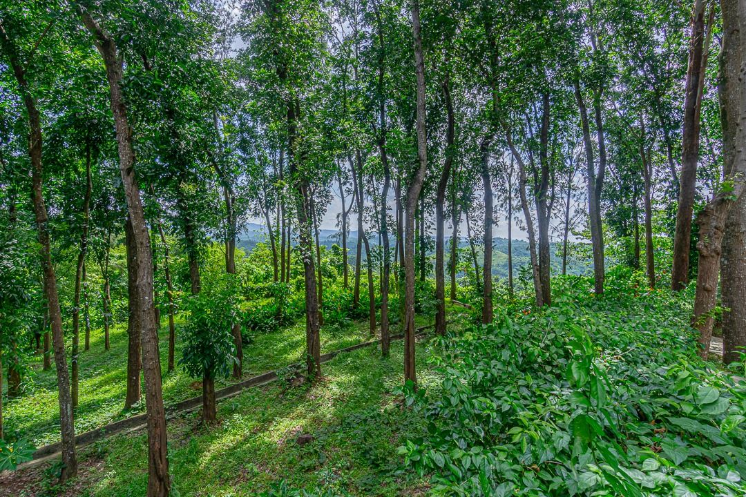 12.7 Hectares Mountain Farm Resort at Baras, Rizal!, Property, For Sale ...