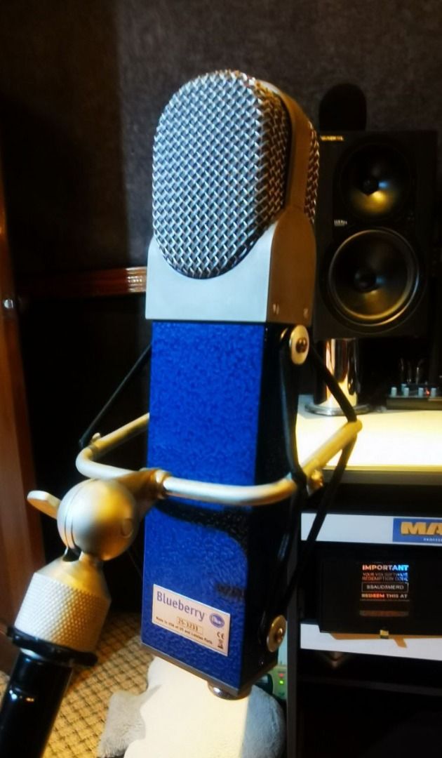 BLUE BLUEBERRY STUDIO MICROPHONE, Audio, Microphones on Carousell