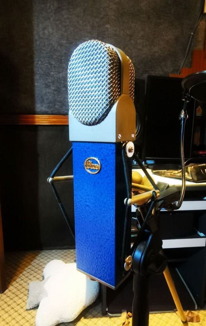 BLUE BLUEBERRY STUDIO MICROPHONE, Audio, Microphones on Carousell