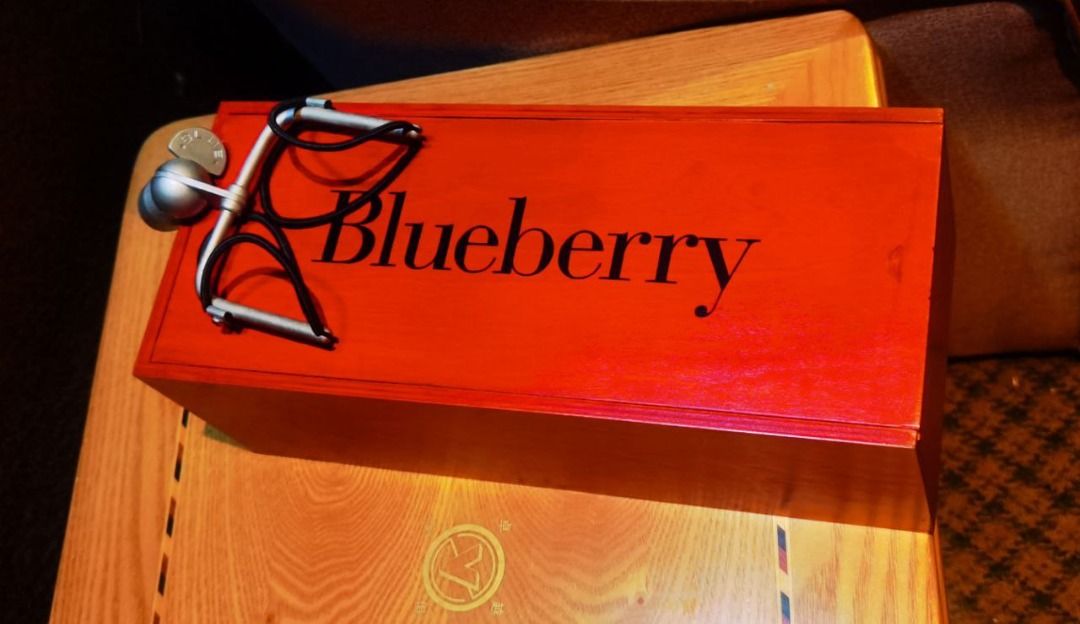 BLUE BLUEBERRY STUDIO MICROPHONE, Audio, Microphones on Carousell