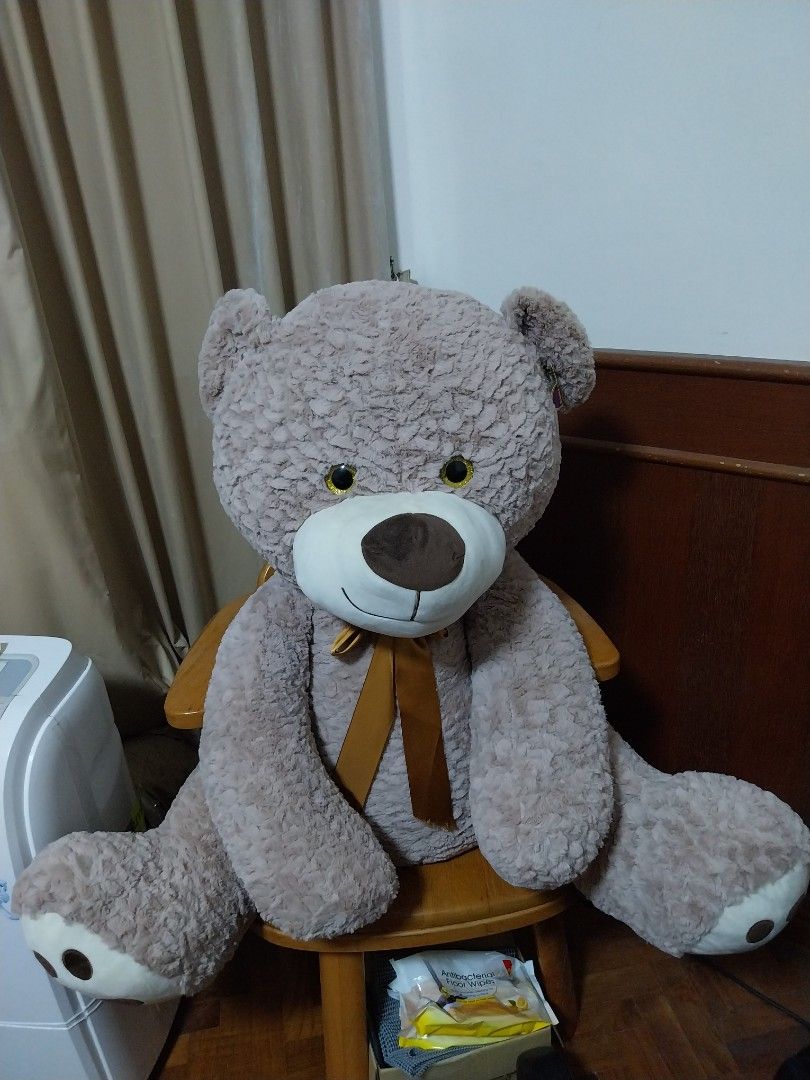 Extra large Teddy Bear, Hobbies & Toys, Toys & Games on Carousell