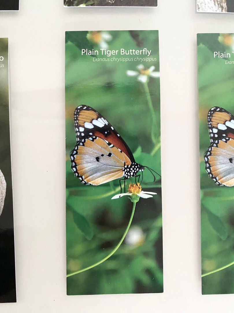 iNature Singapore Biodiversity Animal Paper Bookmark, Furniture & Home ...