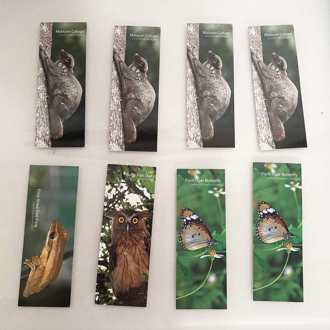 iNature Singapore Biodiversity Animal Paper Bookmark, Furniture & Home ...