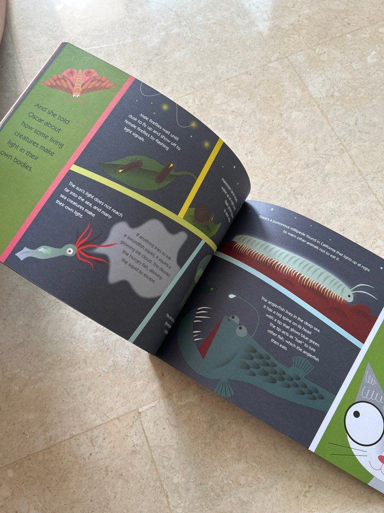 Kids book - Oscar & the Moth, Hobbies & Toys, Books & Magazines ...