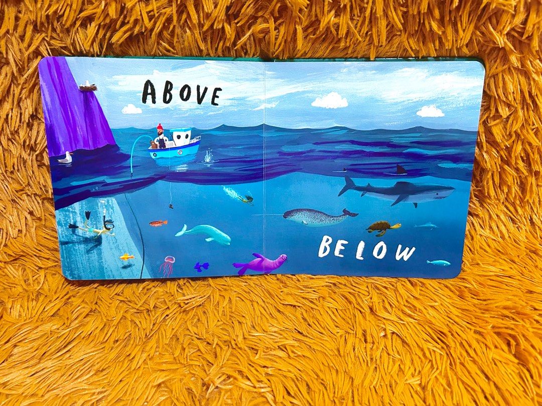 My Book of Opposites by Oliver Jeffers Board Book on Carousell