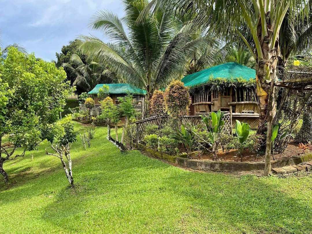 RUSH Farm Lot for Sale In Laguna, Property, For Sale, Lot on Carousell