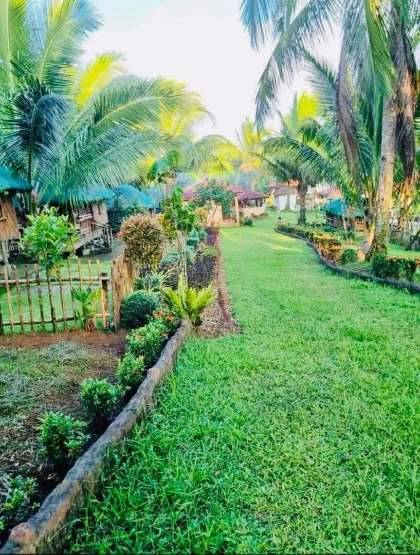 RUSH Farm Lot for Sale In Laguna, Property, For Sale, Lot on Carousell