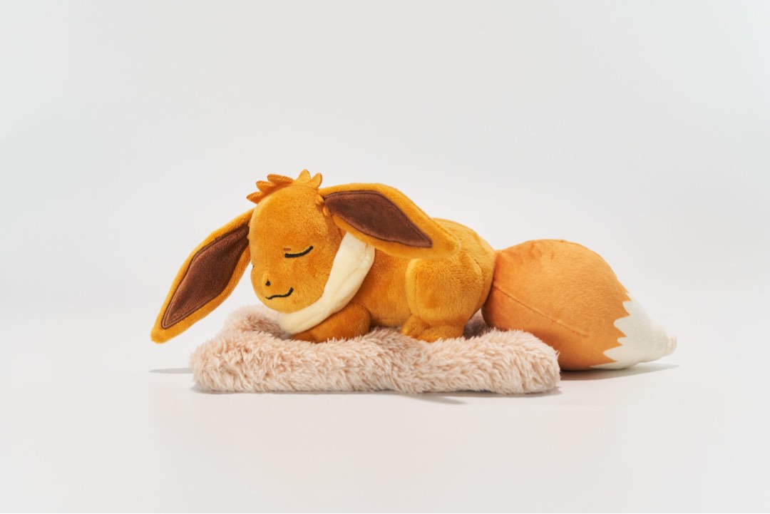 Shell Pokemon Dehumidifier Eevee complete set, Hobbies & Toys, Toys ...