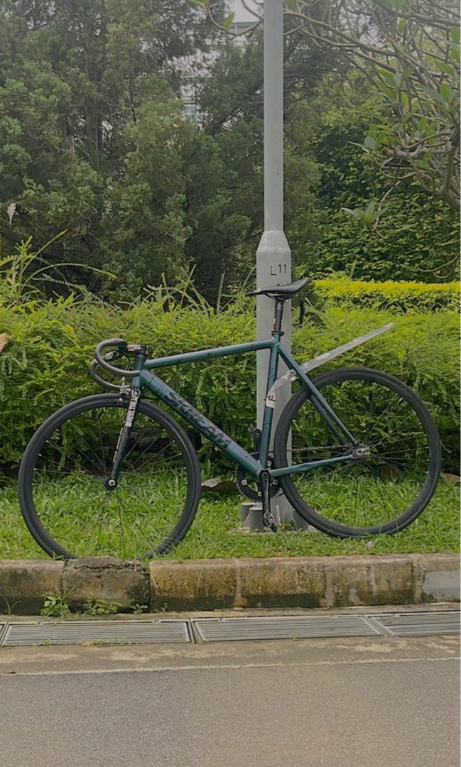 Skream v2 chameleon fs for fixie / track, Sports Equipment, Bicycles ...