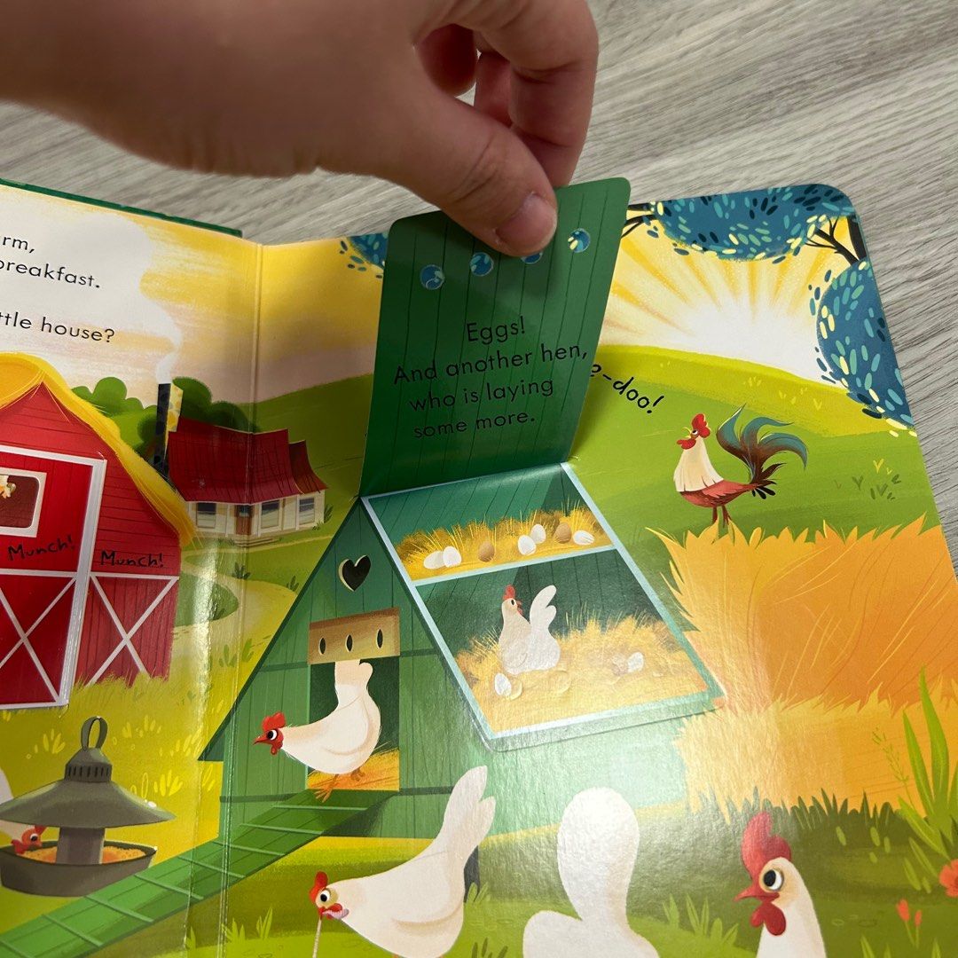 Usborne Peek Inside the Farm / Zoo Lift the Flap Books, Hobbies & Toys ...
