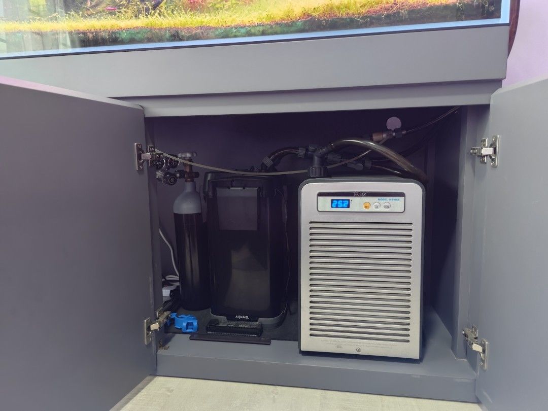4ft tank (crystal glass) with ADA style cabinet, Pet Supplies, Homes ...