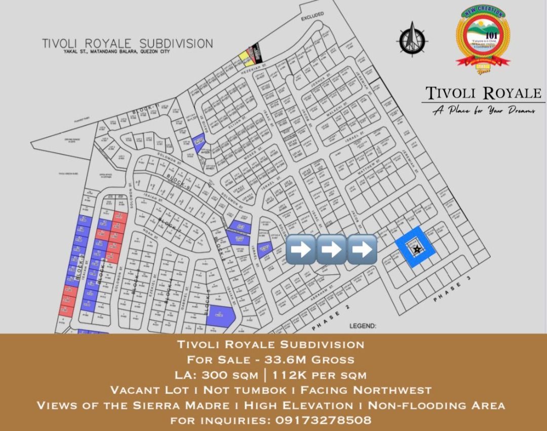 **buyer only** Tivoli Royale Subdivision 300sqm lot 112k/sqm, Property ...