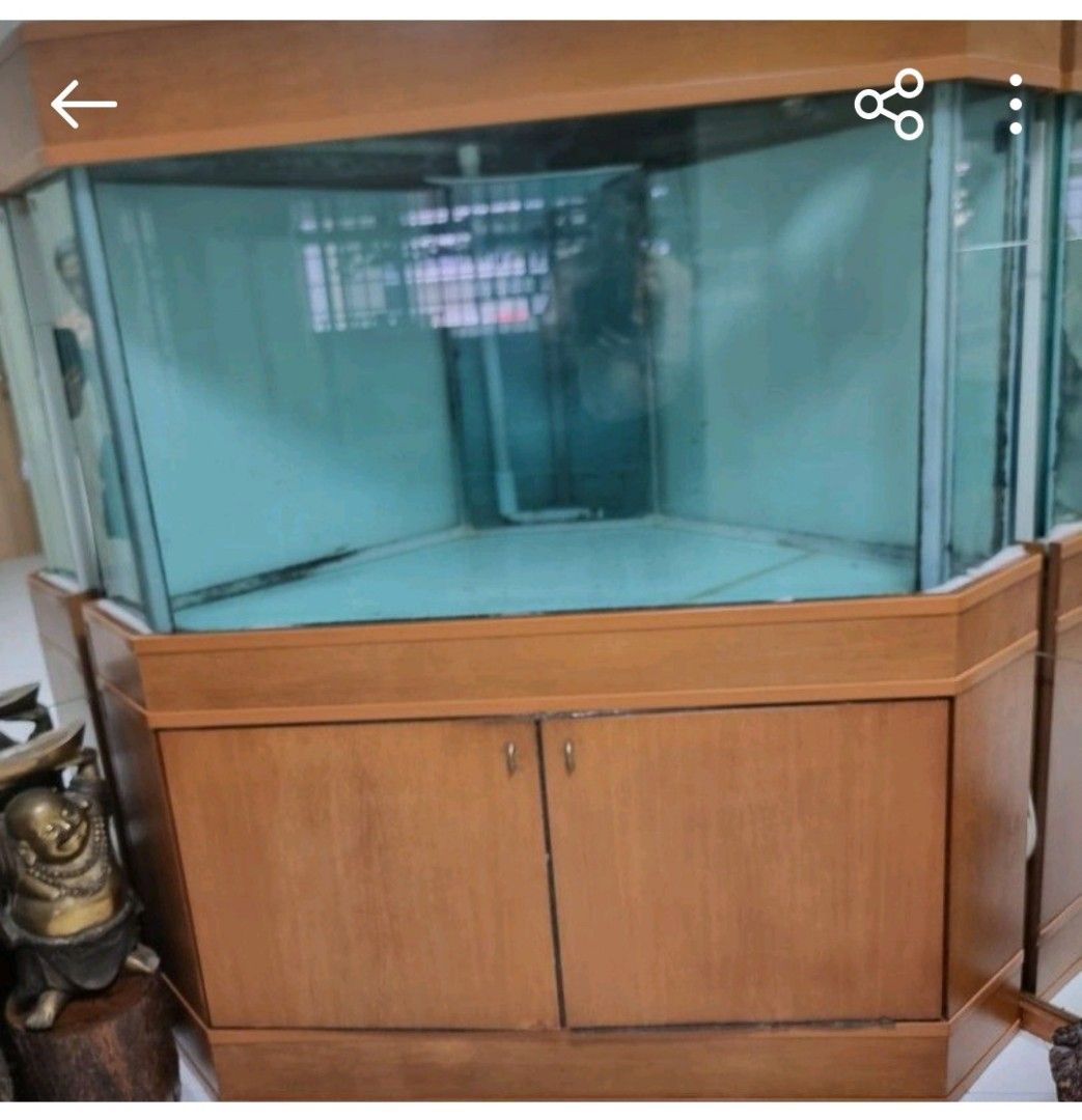 Fish tank, Pet Supplies, Homes & Other Pet Accessories on Carousell