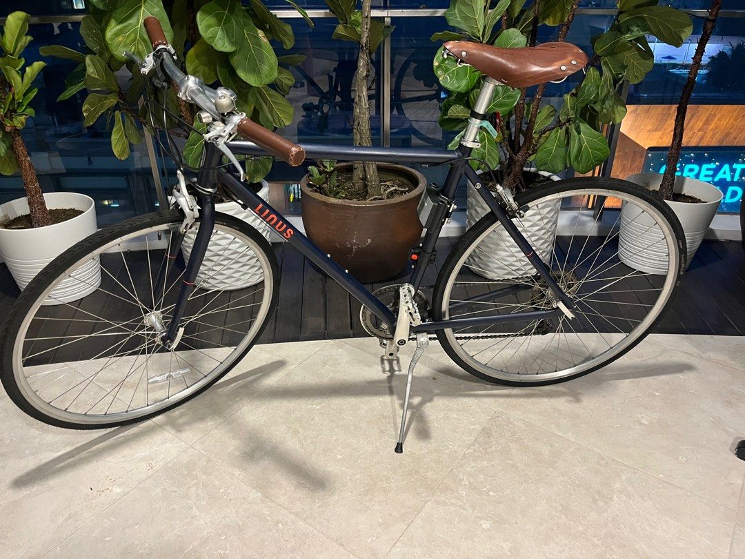 Bicycle Linus Pronto 8D, Sports Equipment, Bicycles & Parts, Bicycles ...