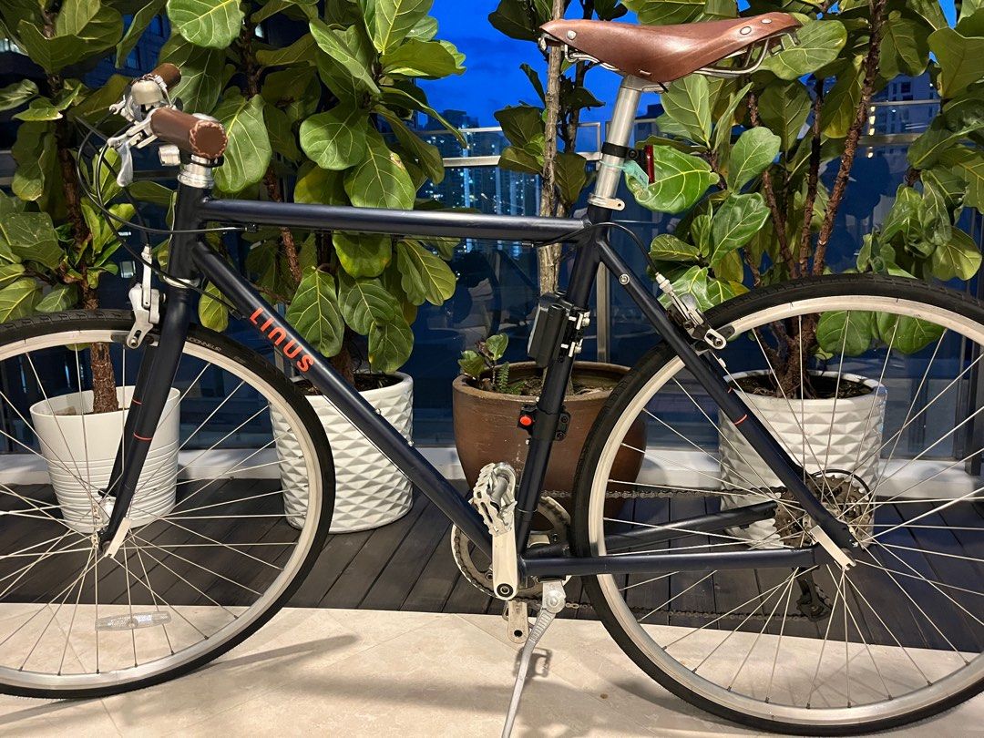 Bicycle Linus Pronto 8D, Sports Equipment, Bicycles & Parts, Bicycles ...