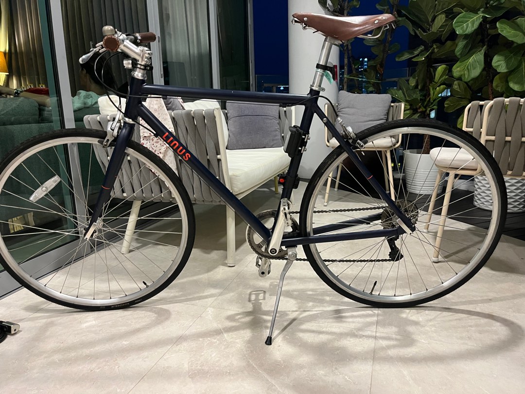 Bicycle Linus Pronto 8D, Sports Equipment, Bicycles & Parts, Bicycles ...